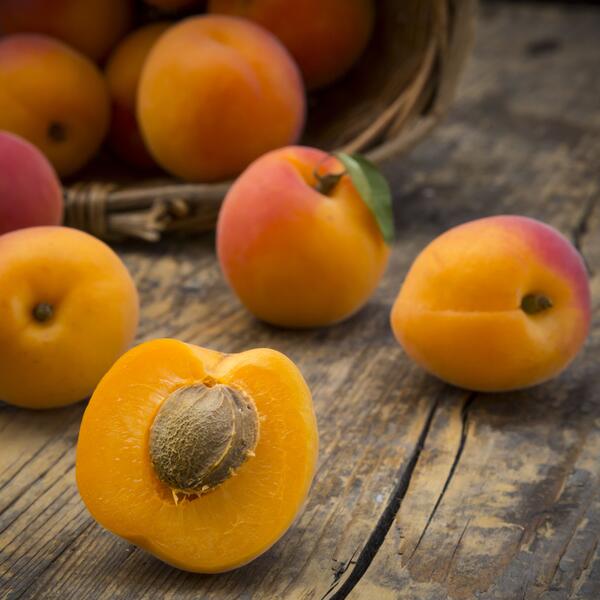 Can-Am Fruits et Légumes | Montréal, Quebec